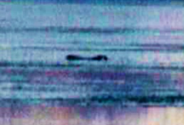 アラスカ・イリアムナ湖の怪物【Alaska’s Iliamna Lake monster】 : 13SHOE・高野十座のブログ