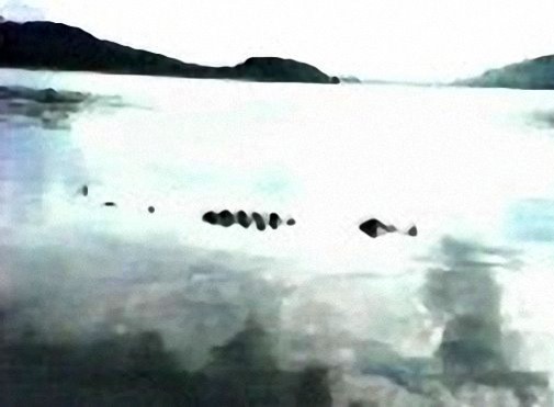 ローモンド湖の怪物、別写真【Another photo of Loch Lomond monster】 : 13SHOE・高野十座のブログ