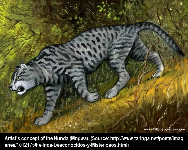 『マネア』はムングワ？ [Manea is Mngwa？] : 13SHOE・高野十座のブログ