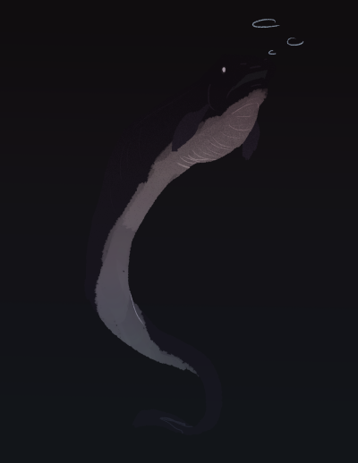 オー湖の怪物 [Loch Awe Monster] : 13SHOE・高野十座のブログ
