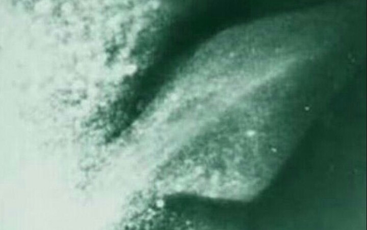 《1972年》有名な、ラインズ博士のネッシーのヒレ写真 [Famous, Nessie fin photo of Dr. Rajnsa ...