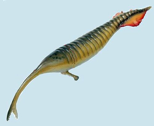 《タリー・モンスター？》ネス湖の湖中に棲むもの…【Tully Monster？Creature living under the water ...