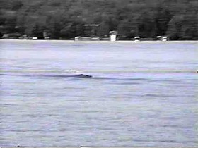 メンフレ【Memphre】 : 13SHOE・高野十座のブログ