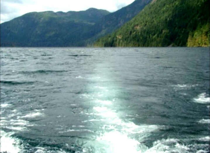 キャメロン湖の怪物②「キャミー」 [Cameron Lake Monster②・Cammie] : 13SHOE・高野十座のブログ