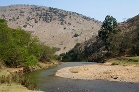 リコウアラ湖のワニ怪物マハンバ【"Mahamba" of the Lake Likouala Crocodile monster】(+リンク ...
