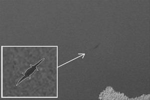 ブロースニャ[Brosnya / Brosno Dragon] : 13SHOE・高野十座のブログ