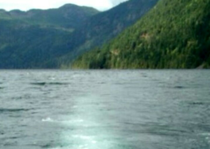 キャメロン湖の怪物②「キャミー」 [Cameron Lake Monster②・Cammie] : 13SHOE・高野十座のブログ