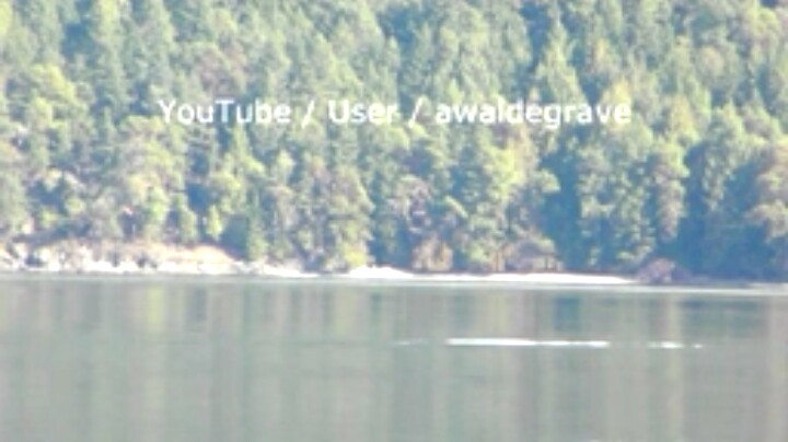 チェリー・ポイント・ビーチの怪物 [Cherry Point Beach Monster] : 13SHOE・高野十座のブログ