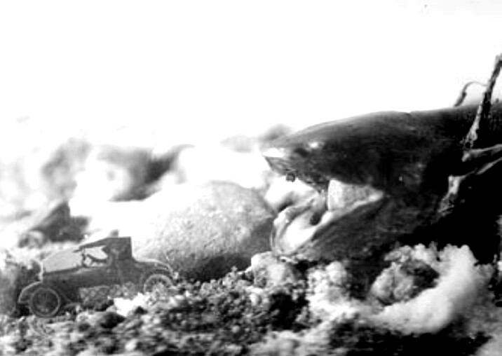 アルカリ湖の怪物 [Alkali Lake Monster] : 13SHOE・高野十座のブログ