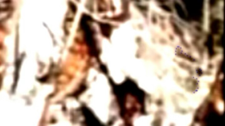 パターソン・フィルムにまた別のビッグフット [another Big Foot in Patterson film] : 13SHOE・高野十 ...