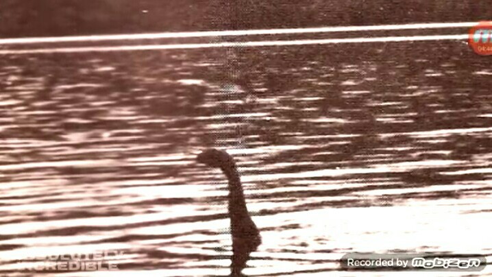 フランク・サールのネッシー？ [Frank Searle's Nessie] : 13SHOE・高野十座のブログ