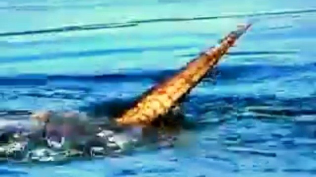 タミー、タマラック湖の怪物亀【Tammy, Tamarack Lake turtle Monster】 : 13SHOE・高野十座のブログ