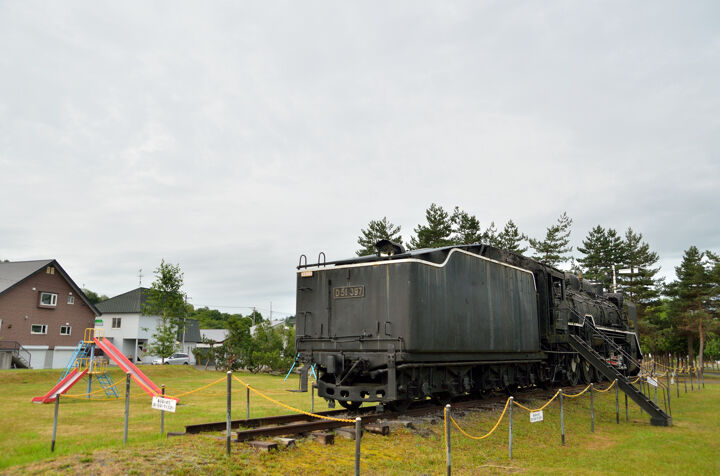 D51 397 士別市 つくも水郷公園にて : たかしの愉快適悦