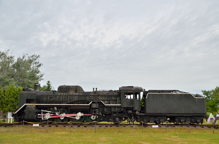 D51 397 士別市 つくも水郷公園にて : たかしの愉快適悦