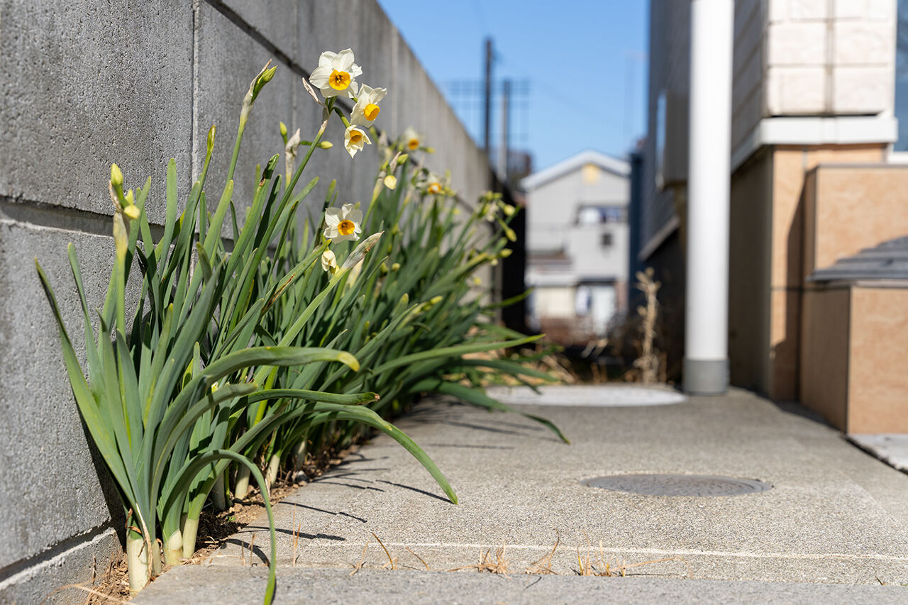 寒いですねー 長期の寒波が始まるらしいです : （旧）高津弘人・高津創造(株) ブログ