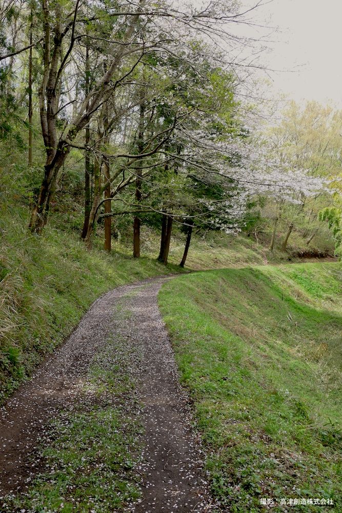 桜の風景 : （旧）高津弘人・高津創造(株) ブログ