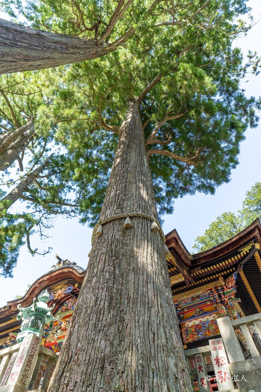 三峯神社参拝 : （旧）高津弘人・高津創造(株) ブログ