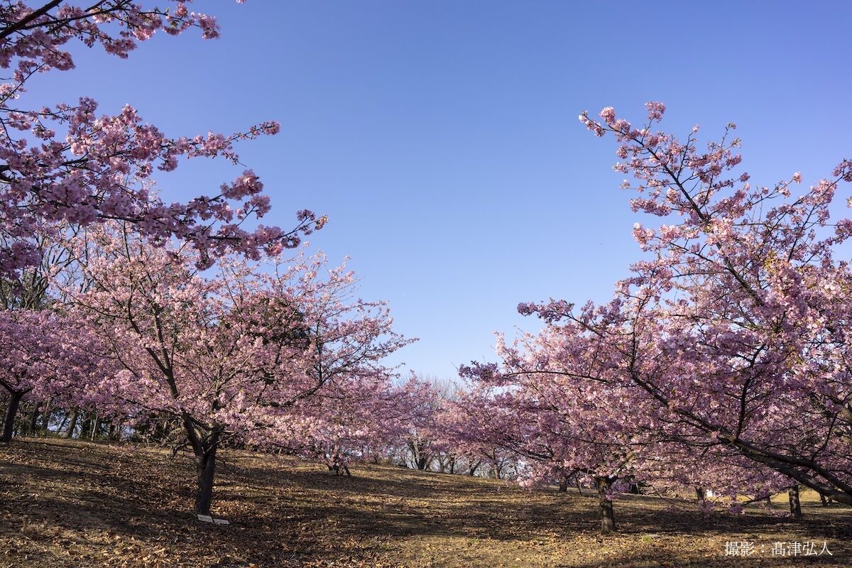 広角単焦点レンズ タムロン20mm F/2.8 Di III OSD M1:2 (Model F050) : （旧）高津弘人・高津創造(株) ブログ