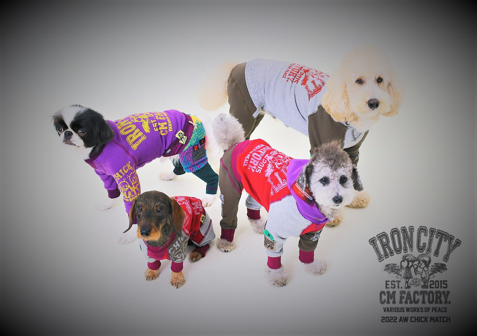 2022年10月 : チクマブログ