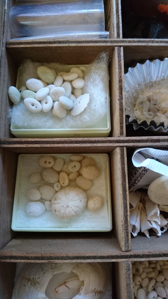 波と風の音を聴きながら～ : 2020年03月14日