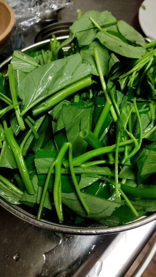 うーん、なんとなく不調 : 引きこもり歴20年44歳で通信制高校卒業した食品工場パート