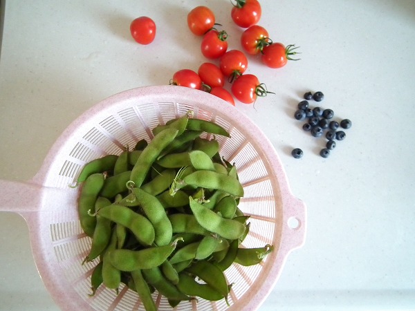 xxx No Title ~ taku-bomb xxx vegetable garden 11