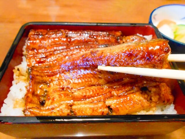 お前ら、この夏"うなぎ"食べたか？ : 旅行行こうず！ー国内旅行まとめブログー