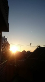 タマシギ♀のイケイケ日記 : 私的初日の出