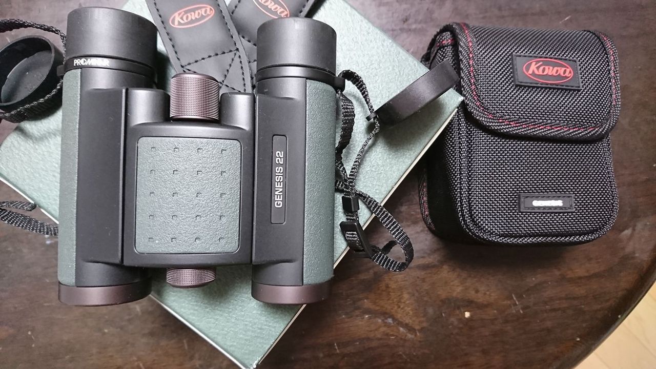 タマシギ♀のイケイケ日記 : KOWA GENESIS22