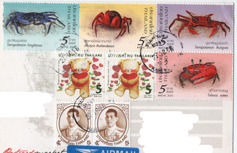 MOTW Thailand : Postcrossing card collection