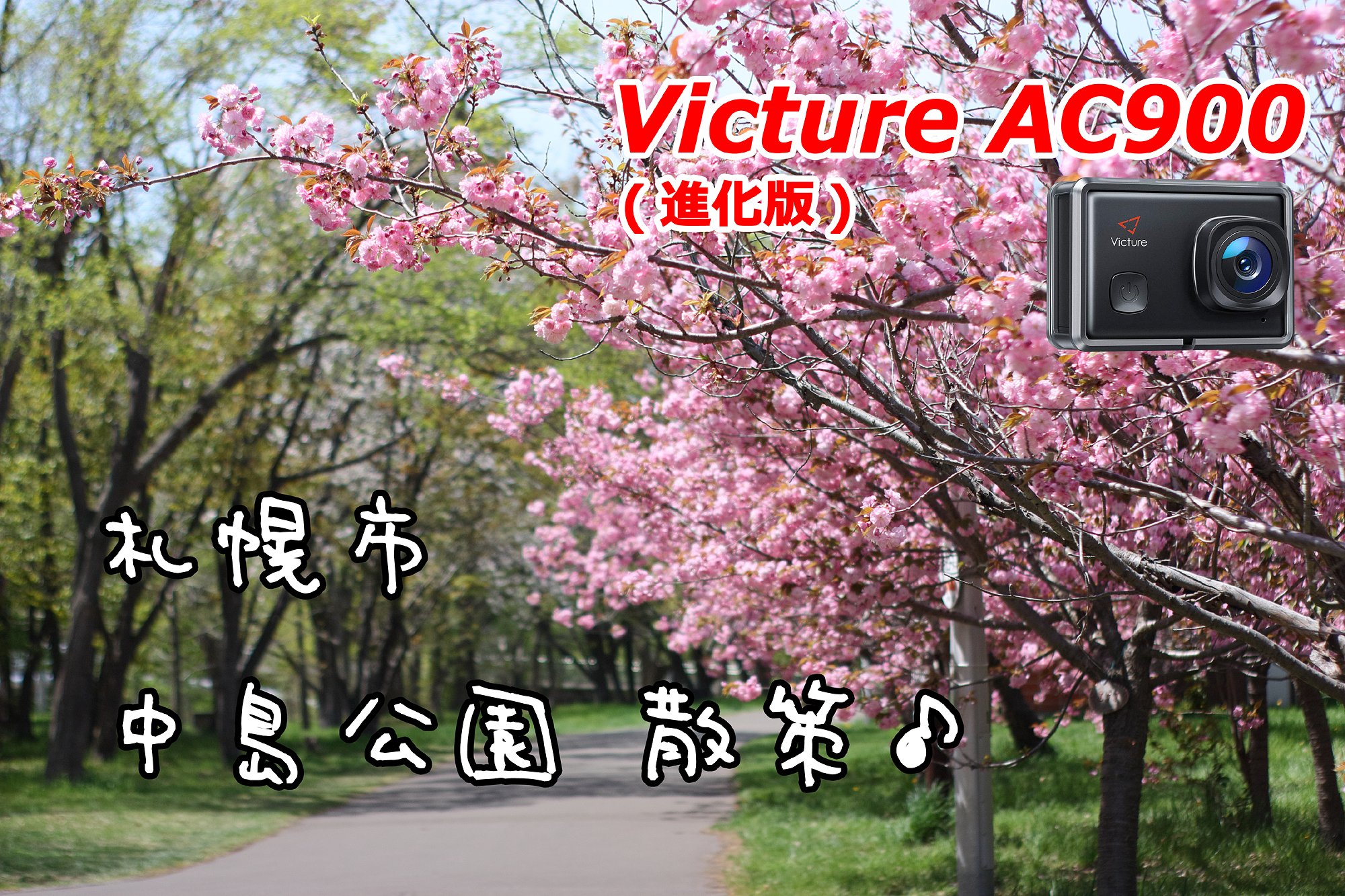 2020年05月23日 : デジカメと リスと小鳥と 時々その他