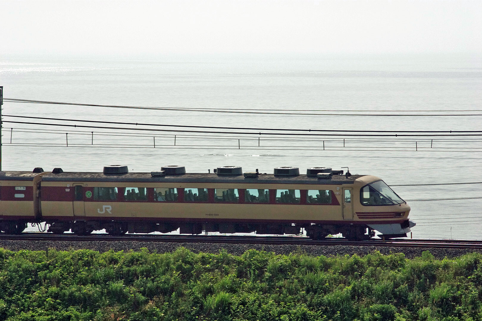 TOMIX 98750/98751 485系「スーパー雷鳥」 : どみやんの写真帳 TOMIX 98750/98751 485系「スーパー雷鳥」 : どみやんの写真帳