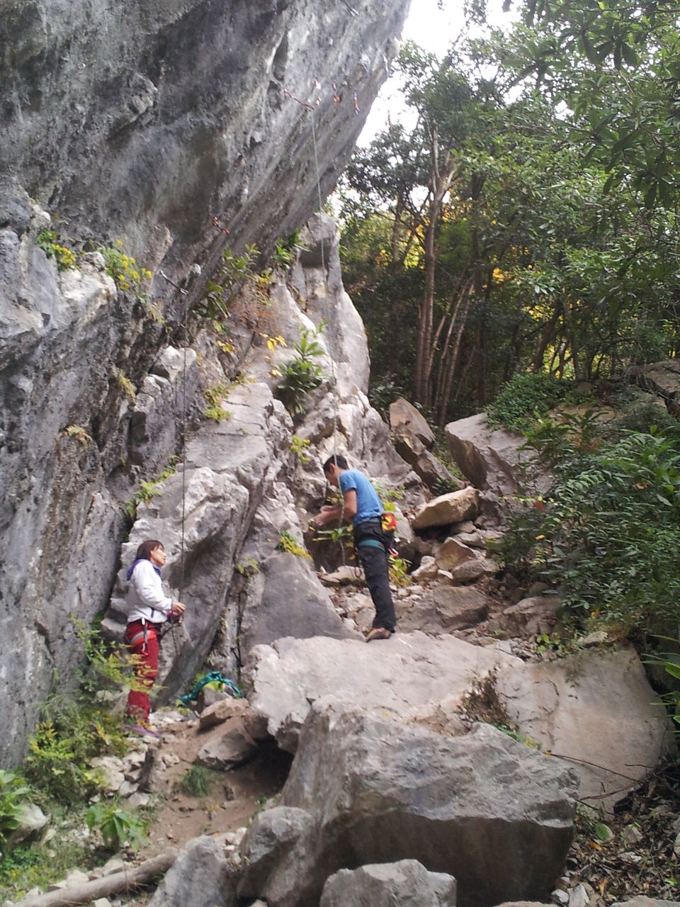 team ROCKS : 11月11日 2るんぜ