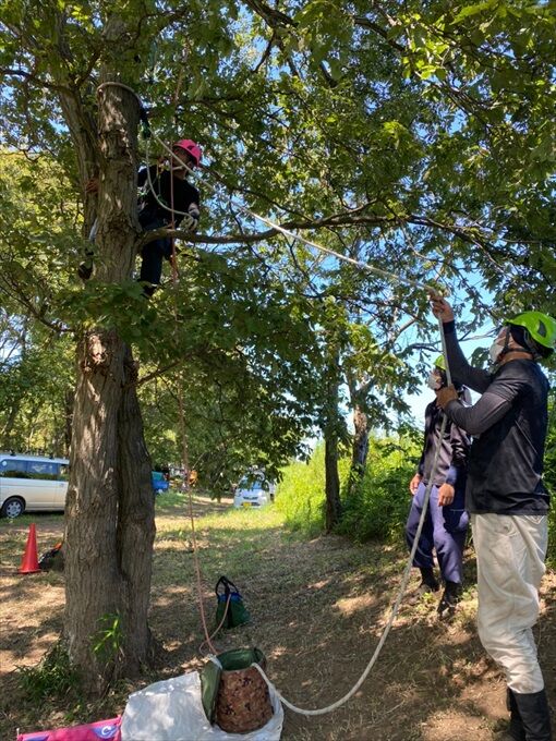 2021年7月24日茨城県那珂郡東海村BAT-2セミナー : TAO《Teddy's Arbor Orb》