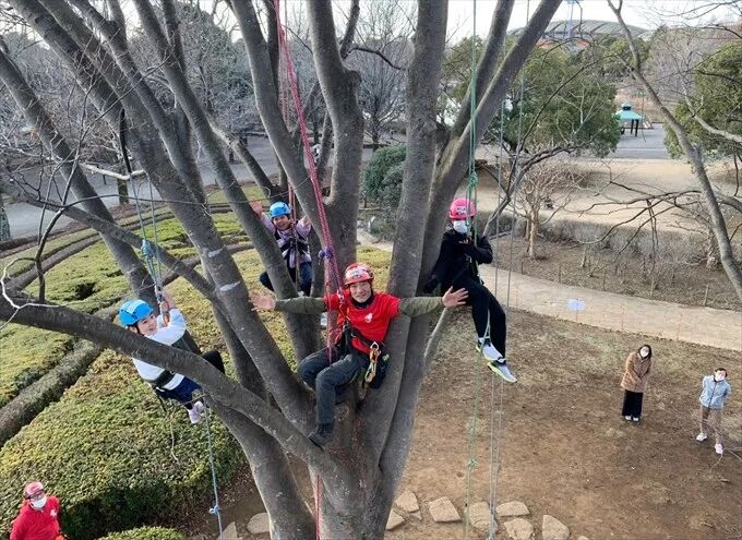 2023年1月21・22日 千葉県「千葉県立柏の葉公園」ツリークライミング体験会 : TAO《Teddy's Arbor Orb》