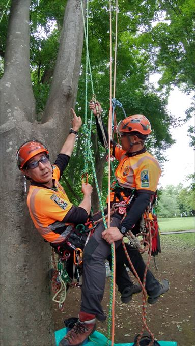 2023年6月4日千葉県千葉市TARS1セミナー : TAO《Teddy's Arbor Orb》