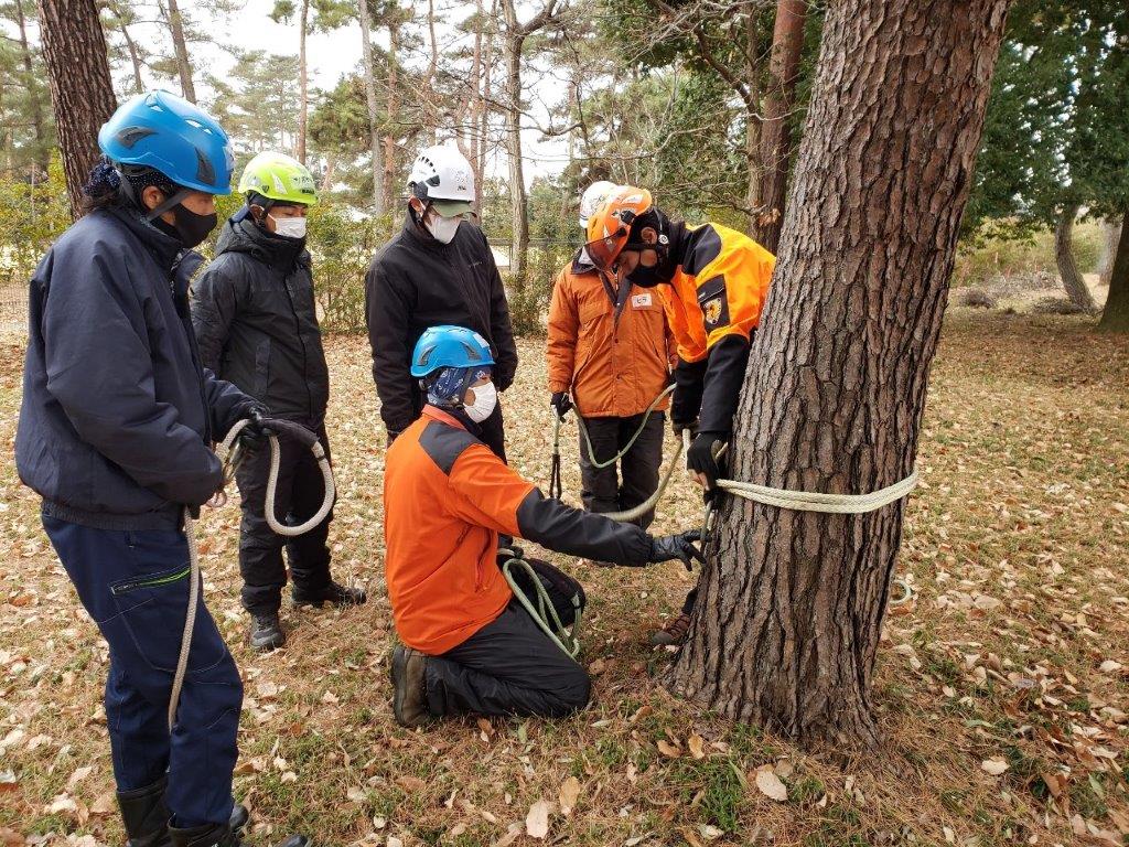 2021年1月23日茨城県 つくばみらい市BAT-2セミナー : TAO《Teddy's Arbor Orb》