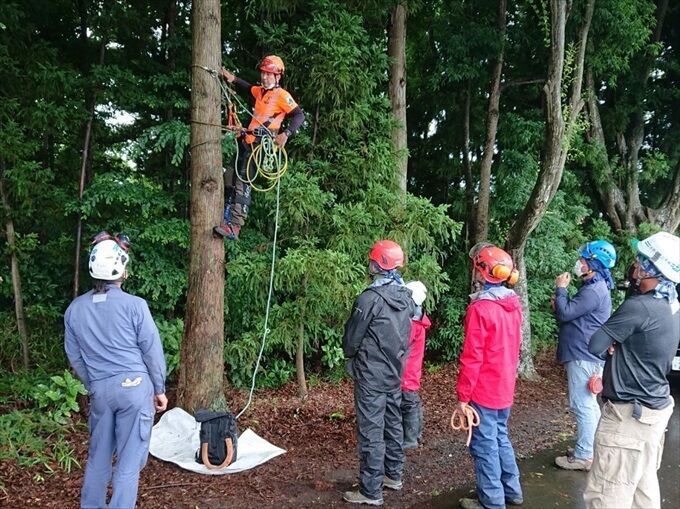 2021年7月4・5日茨城県つくばみらい市BAT-3Bセミナー : TAO《Teddy's Arbor Orb》