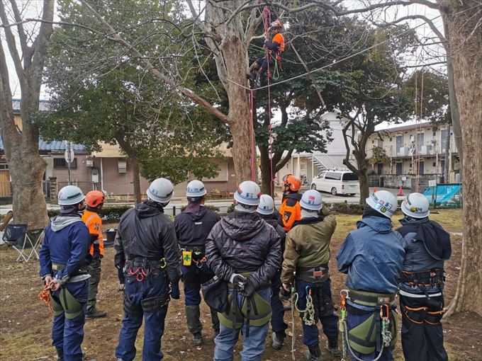 2023年2月13・14日千葉県千葉市千葉公園BAT-1セミナー : TAO《Teddy's Arbor Orb》
