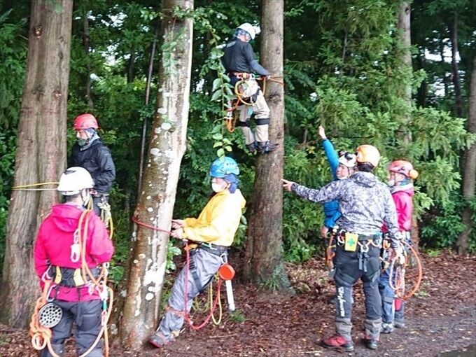 2021年7月4・5日茨城県つくばみらい市BAT-3Bセミナー : TAO《Teddy's Arbor Orb》