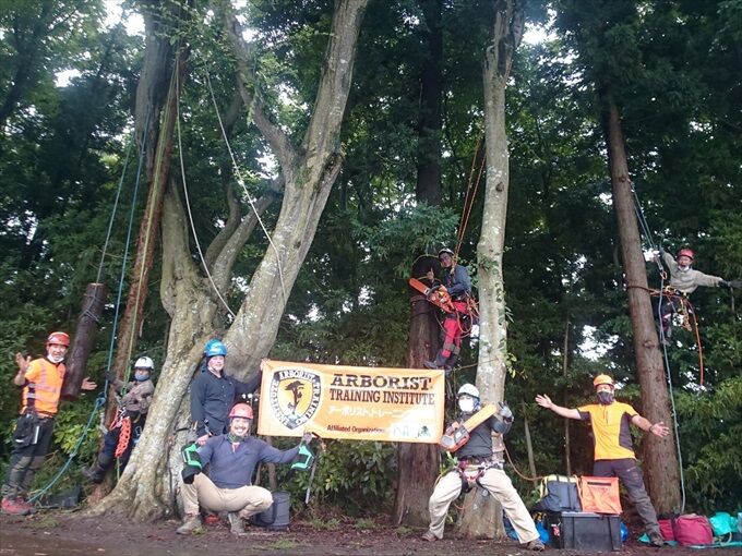 2021年7月4・5日茨城県つくばみらい市BAT-3Bセミナー : TAO《Teddy's Arbor Orb》