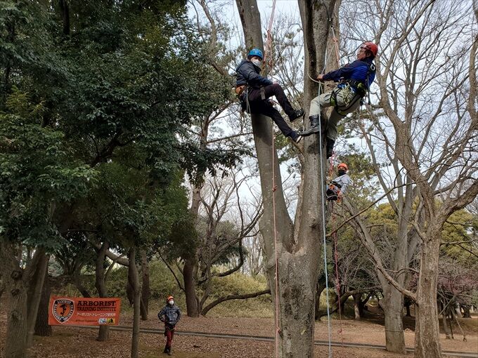 2022年1月28・29日千葉県千葉市千葉公園BAT-1セミナー : TAO《Teddy's Arbor Orb》