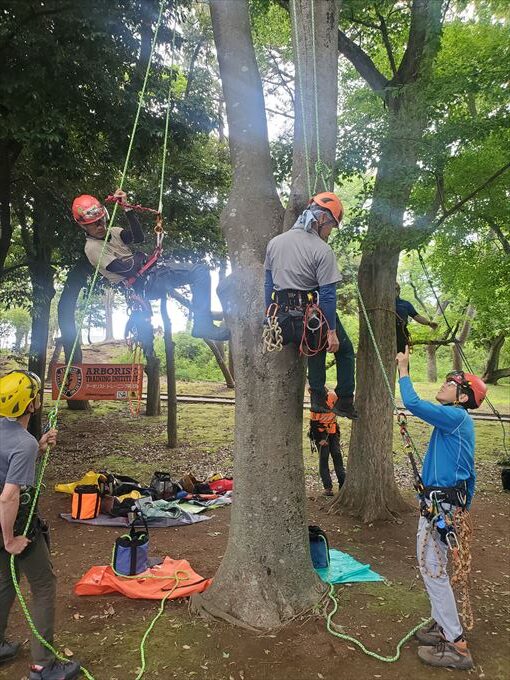 2023年6月4日千葉県千葉市TARS1セミナー : TAO《Teddy's Arbor Orb》