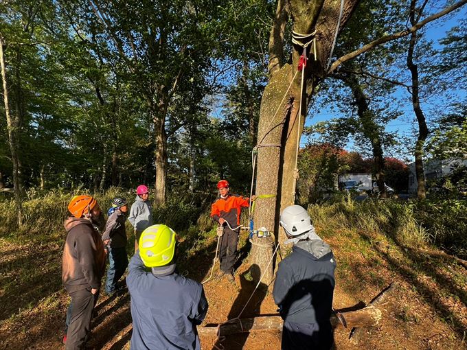 2023年4月10日千葉県千葉市中央区 川戸の森BAT-2セミナー : TAO《Teddy's Arbor Orb》