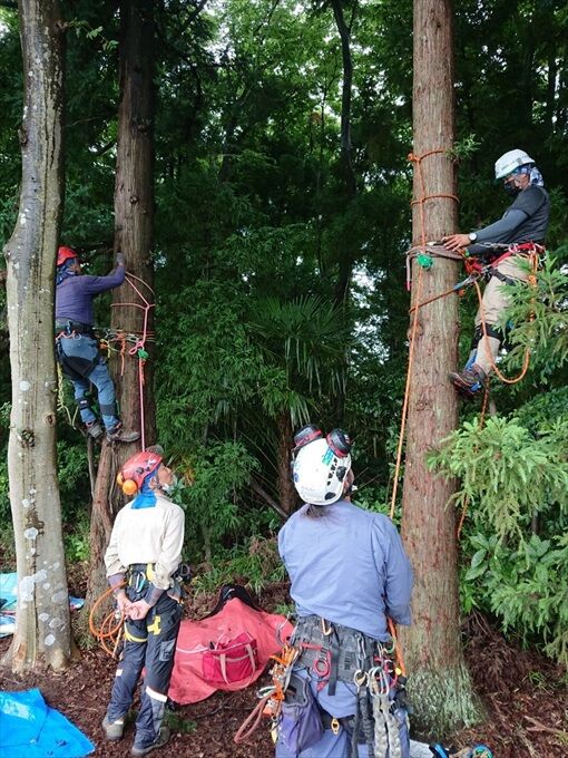2021年7月4・5日茨城県つくばみらい市BAT-3Bセミナー : TAO《Teddy's Arbor Orb》
