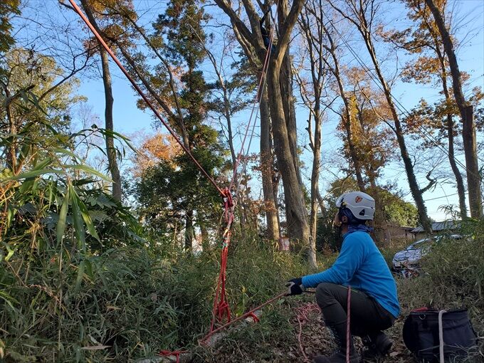 2021年12月4日千葉県千葉市川戸の森BAT-3Aセミナー : TAO《Teddy's Arbor Orb》