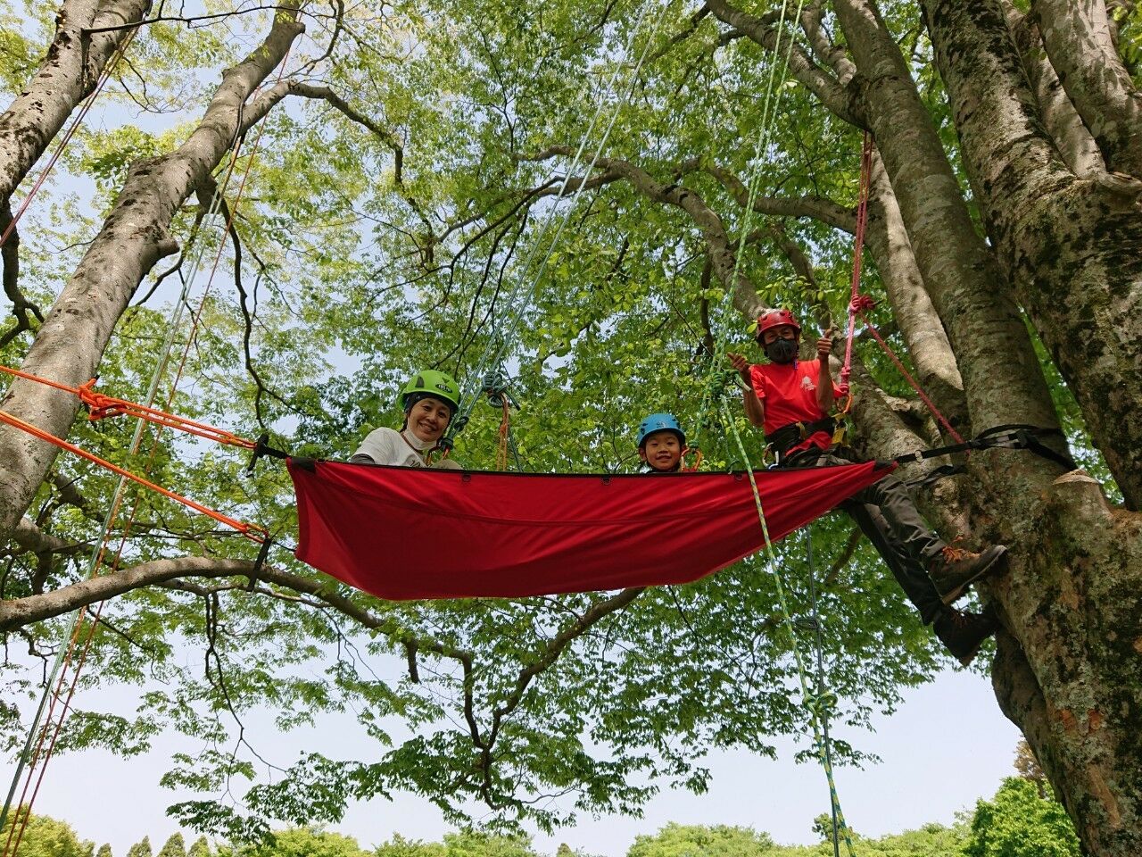 5月4日 昭和の森 ツリーケアボランティア&ファンクライミング : TAO《Teddy's Arbor Orb》