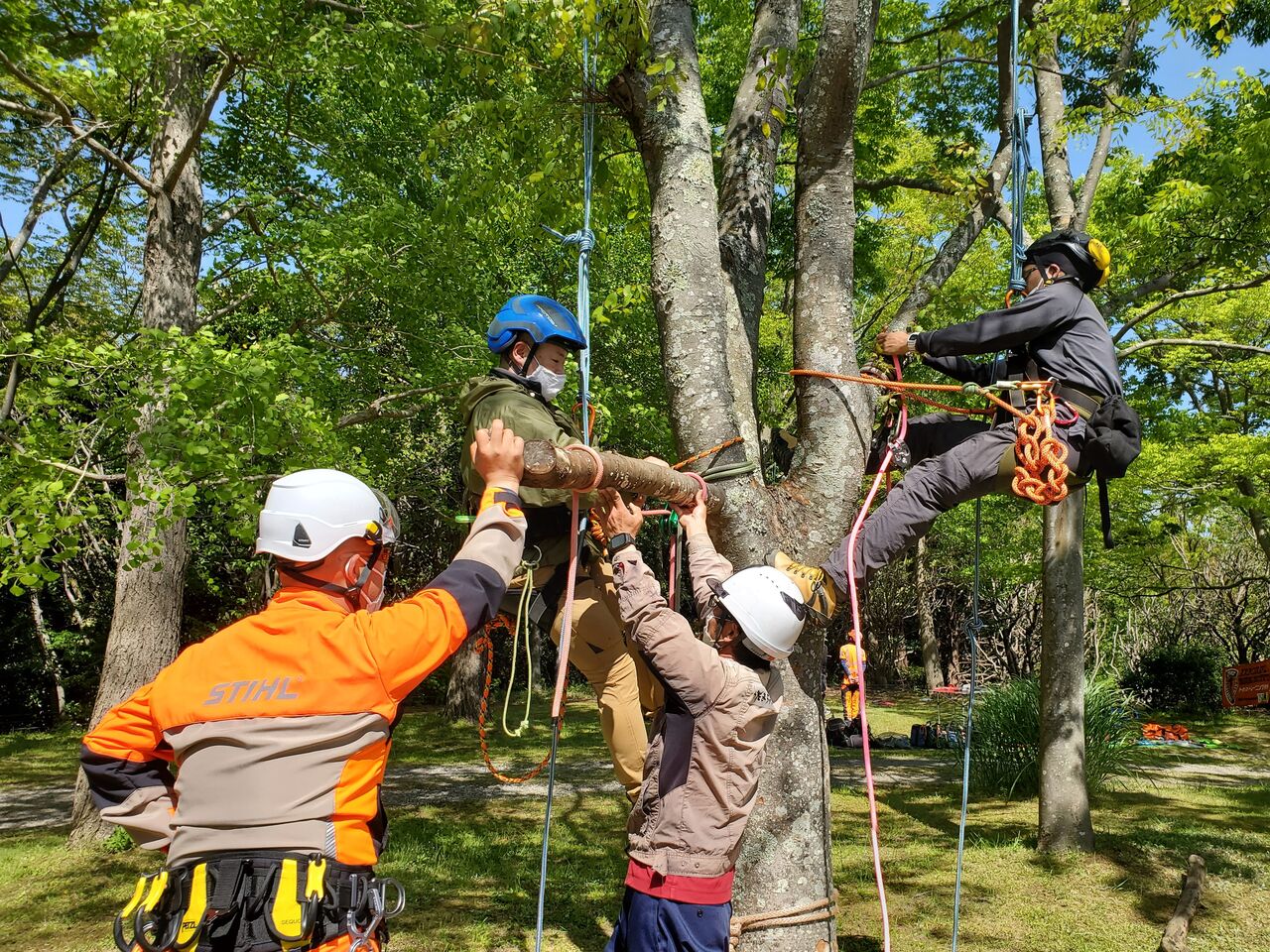 2021年5月君津のさんぽみちBAT1.2 : TAO《Teddy's Arbor Orb》