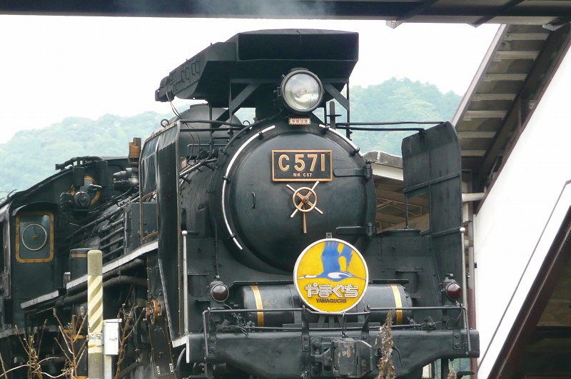 てるっぴのシロリスト日記 : C57
