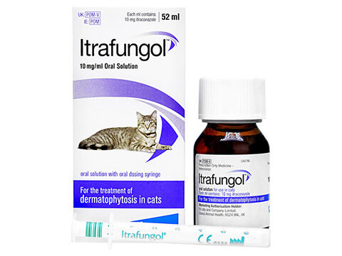 イトラコナゾール猫用(Itrafungol)10mg 【1本52ml】